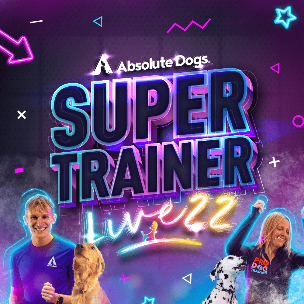 Gold Ticket | Super Trainer Live